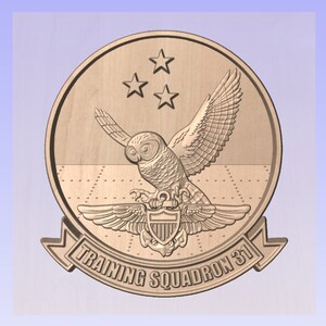 US Navy VT-31 Unit Patch 3D Model - Etsy