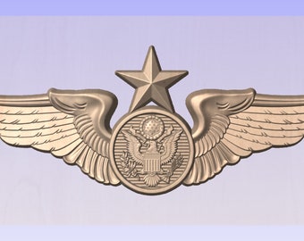 USMC silver Stars Combat Aircrew Badge wings U.S. Marines Combat ...