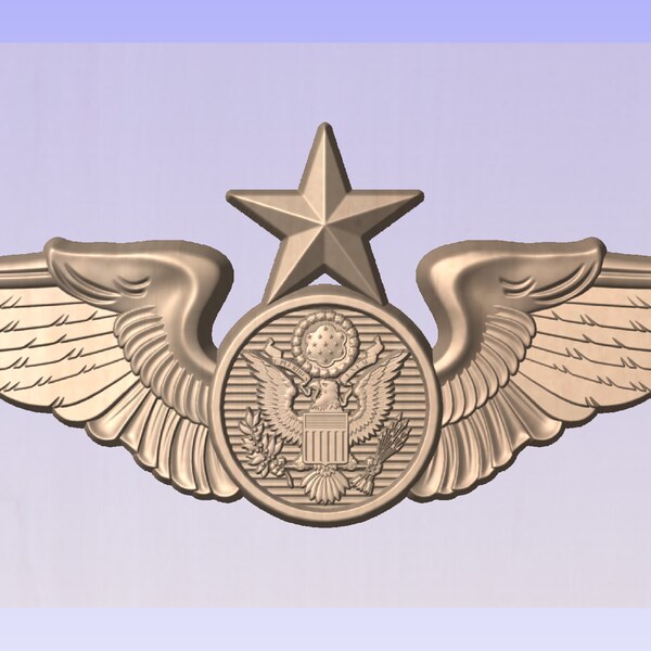 Senior Aircrew Wings - Etsy