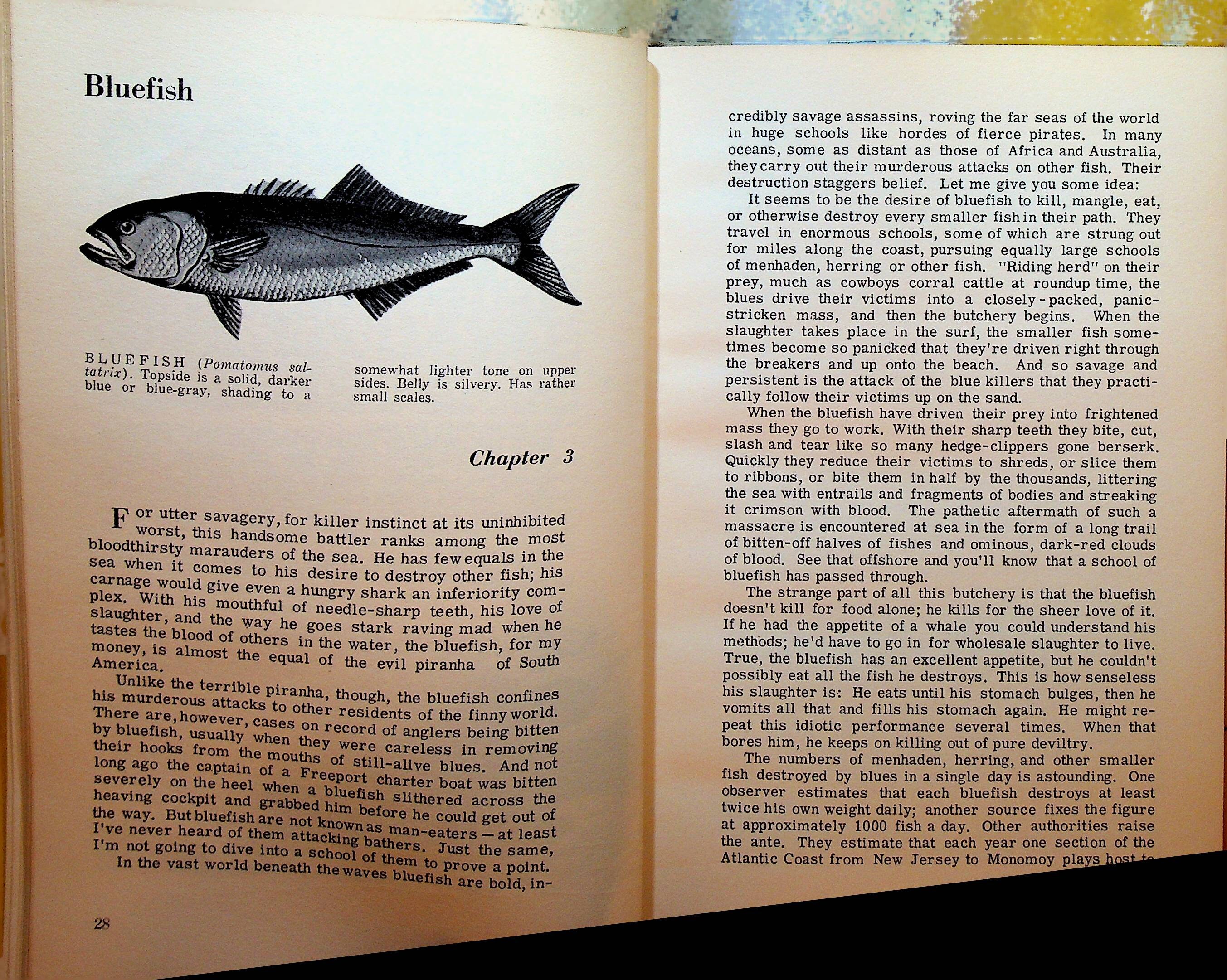 How to Catch Salt Water Fish by Bill Wisner Jon Gnagy HC DJ 1955 Louis ...