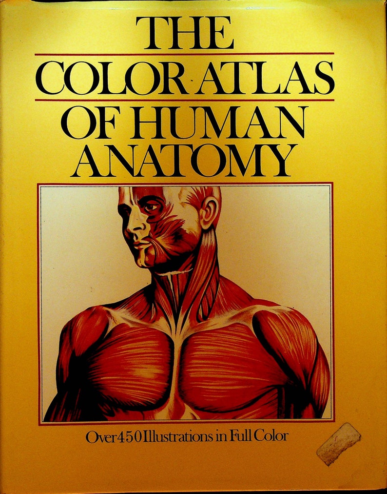 The Color Atlas Human Anatomy HC DJ Book - Etsy