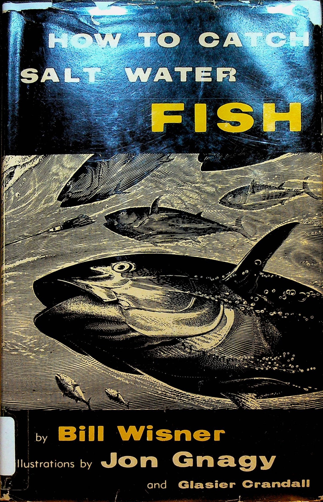How to Catch Salt Water Fish by Bill Wisner Jon Gnagy HC DJ 1955 Louis ...