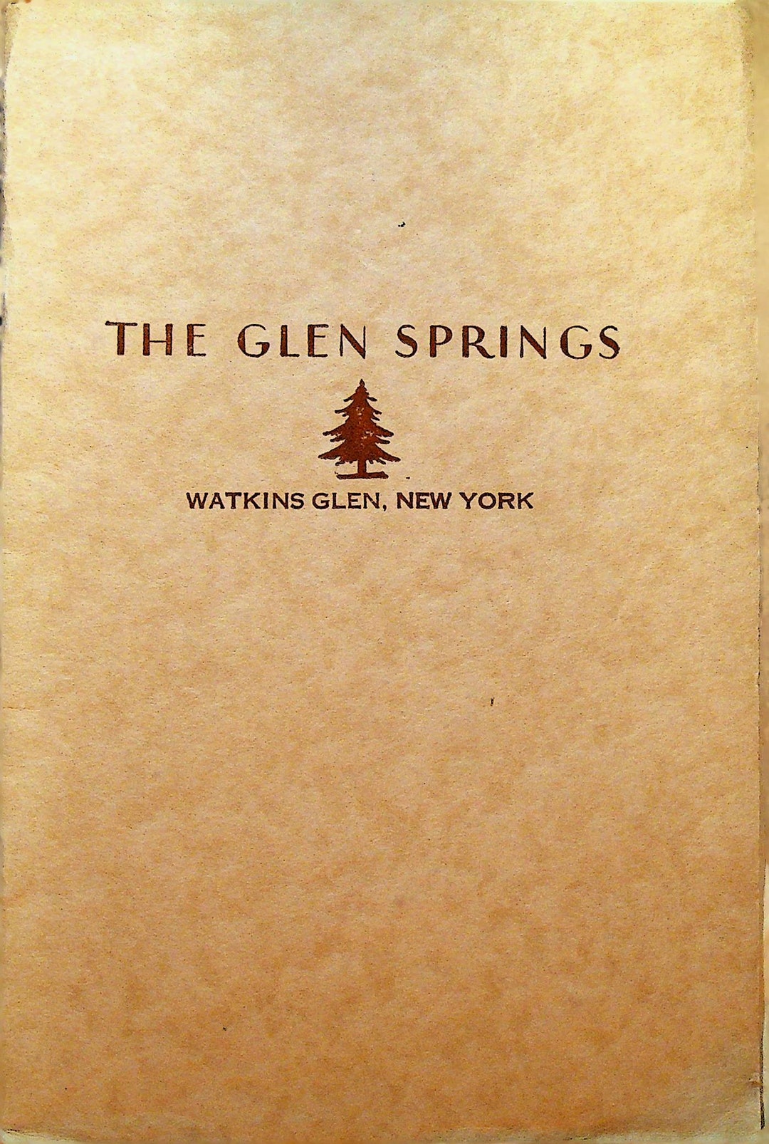 The Glen Springs Booklet Watkins Glen NY the American Nauheim 1920s - Etsy