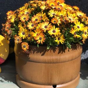 Custom Beer Keg Rustic Planters - Etsy