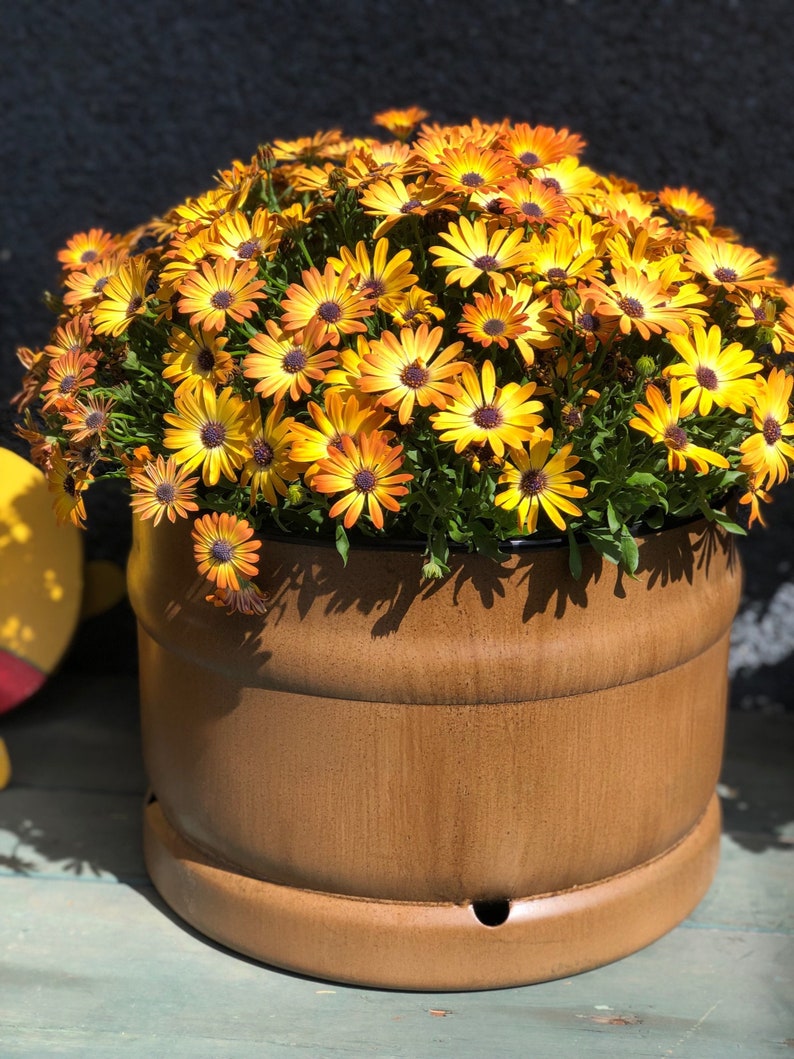 Custom Beer Keg Rustic Planters - Etsy