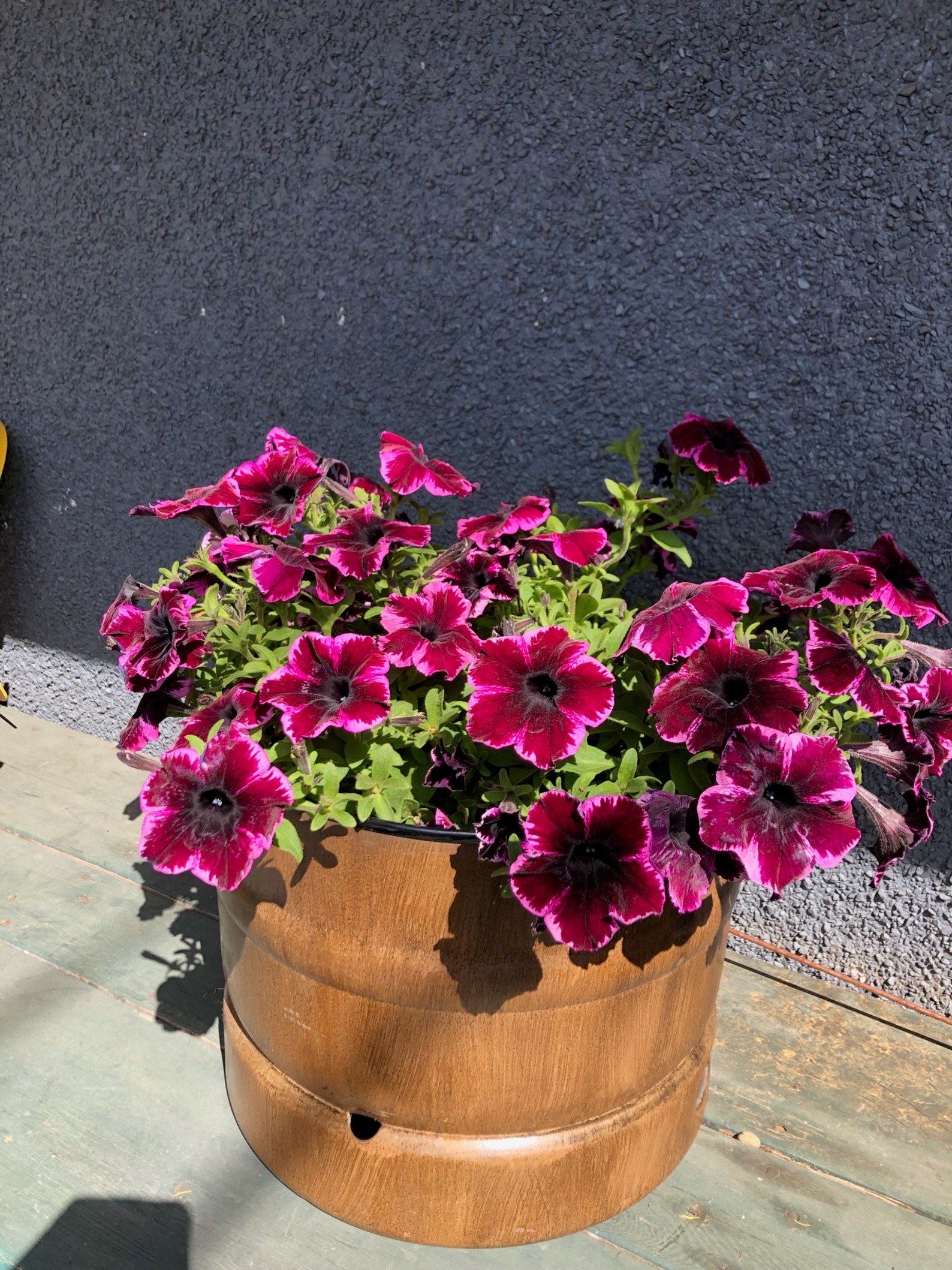 Custom Beer Keg Rustic Planters - Etsy