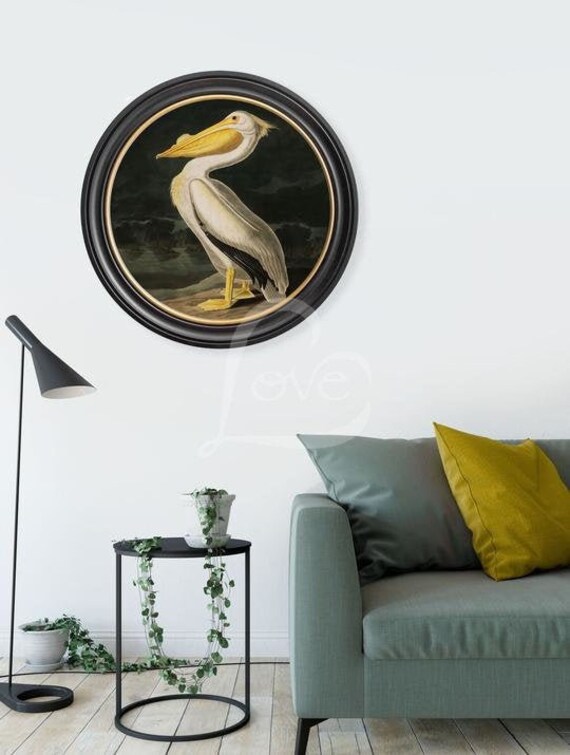 Large Round Pelican Print With Round Frame | Etsy