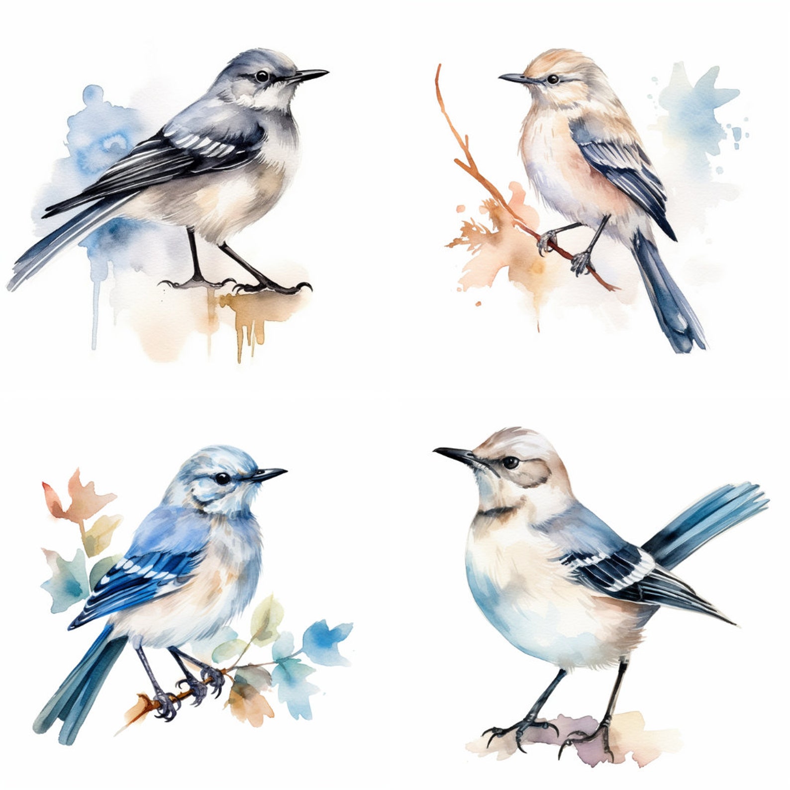 Watercolor Birds Clip Art, Tiny Colorful Birds Clipart, Bird Png ...
