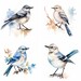 Watercolor Birds Clip Art, Tiny Colorful Birds Clipart, Bird Png ...