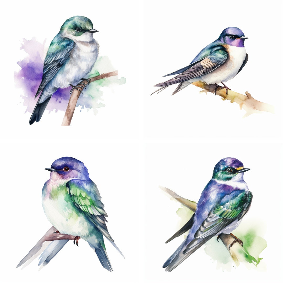 Watercolor Birds Clip Art Tiny Colorful Birds Clipart Bird - Etsy