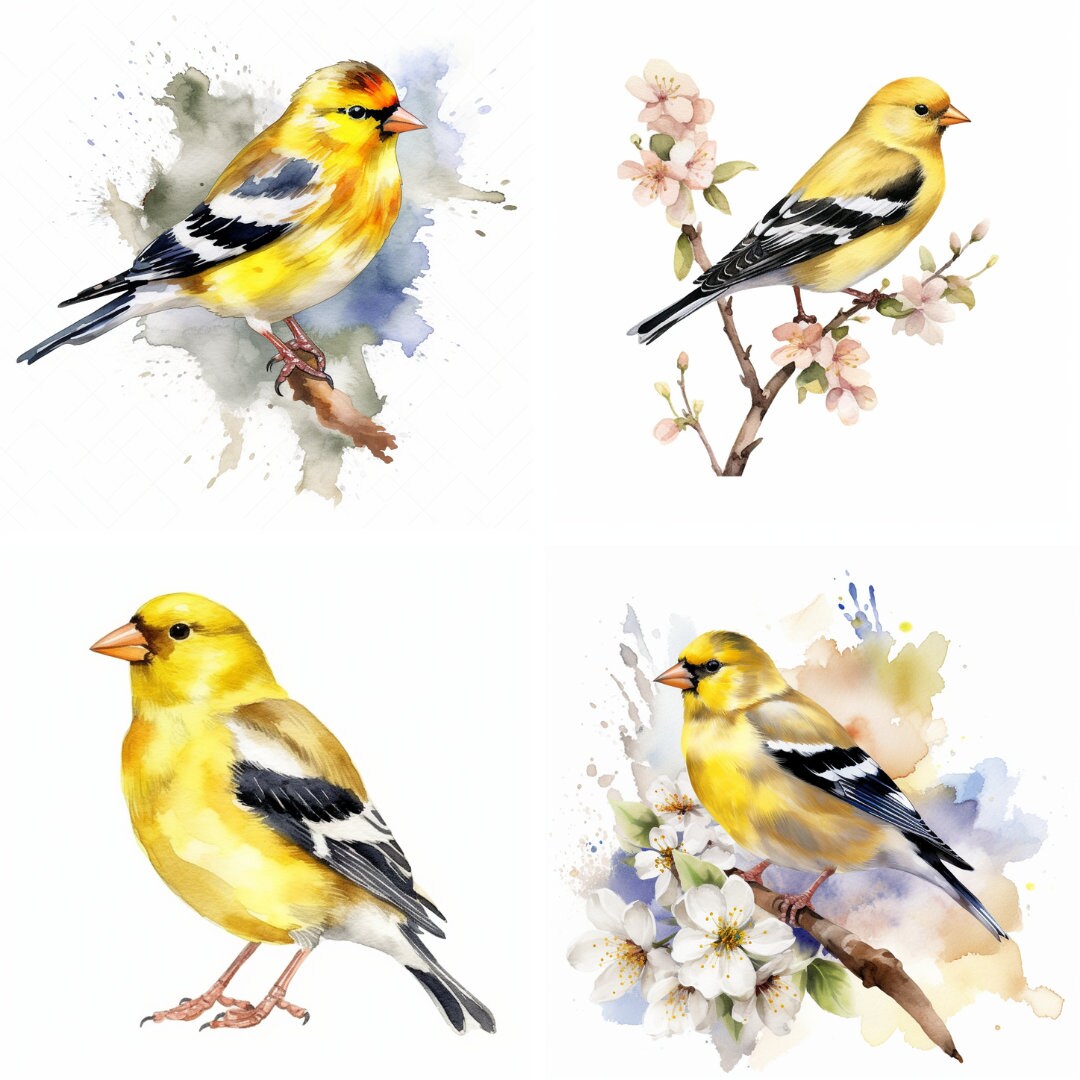 Watercolor Birds Clip Art, Tiny Colorful Birds Clipart, Bird Png ...