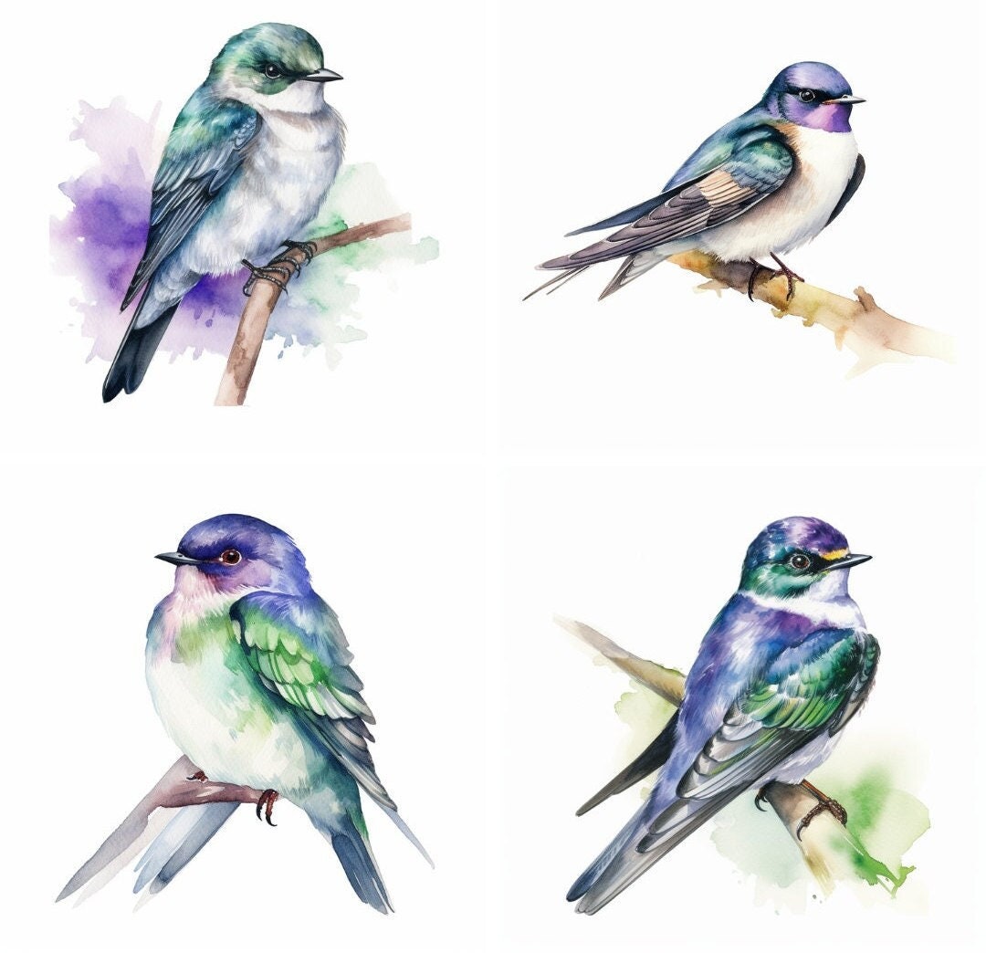 Watercolor Birds Clip Art, Tiny Colorful Birds Clipart, Bird Png ...