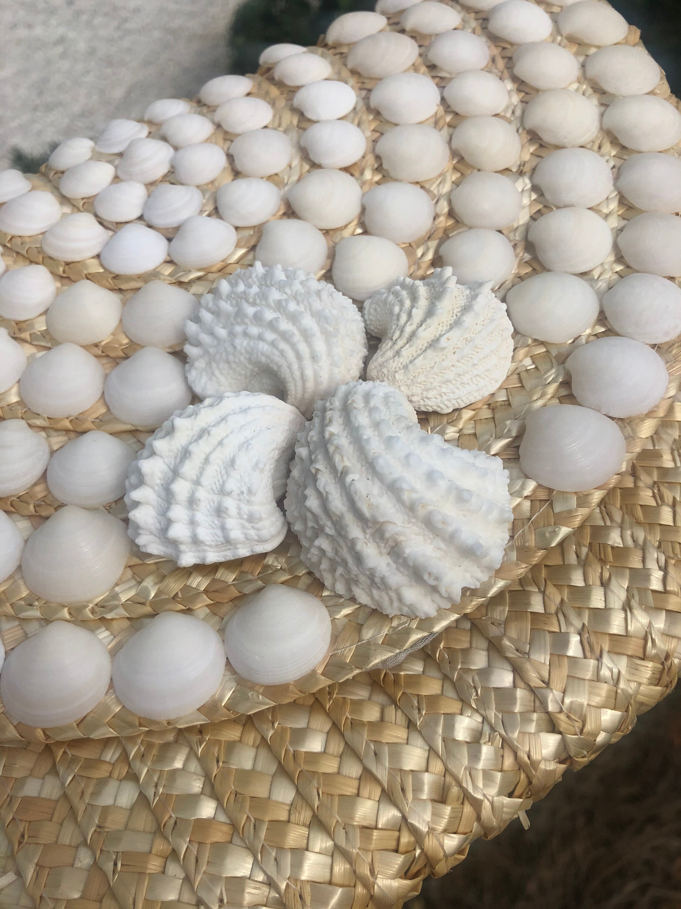 Seashell Clutch - Etsy