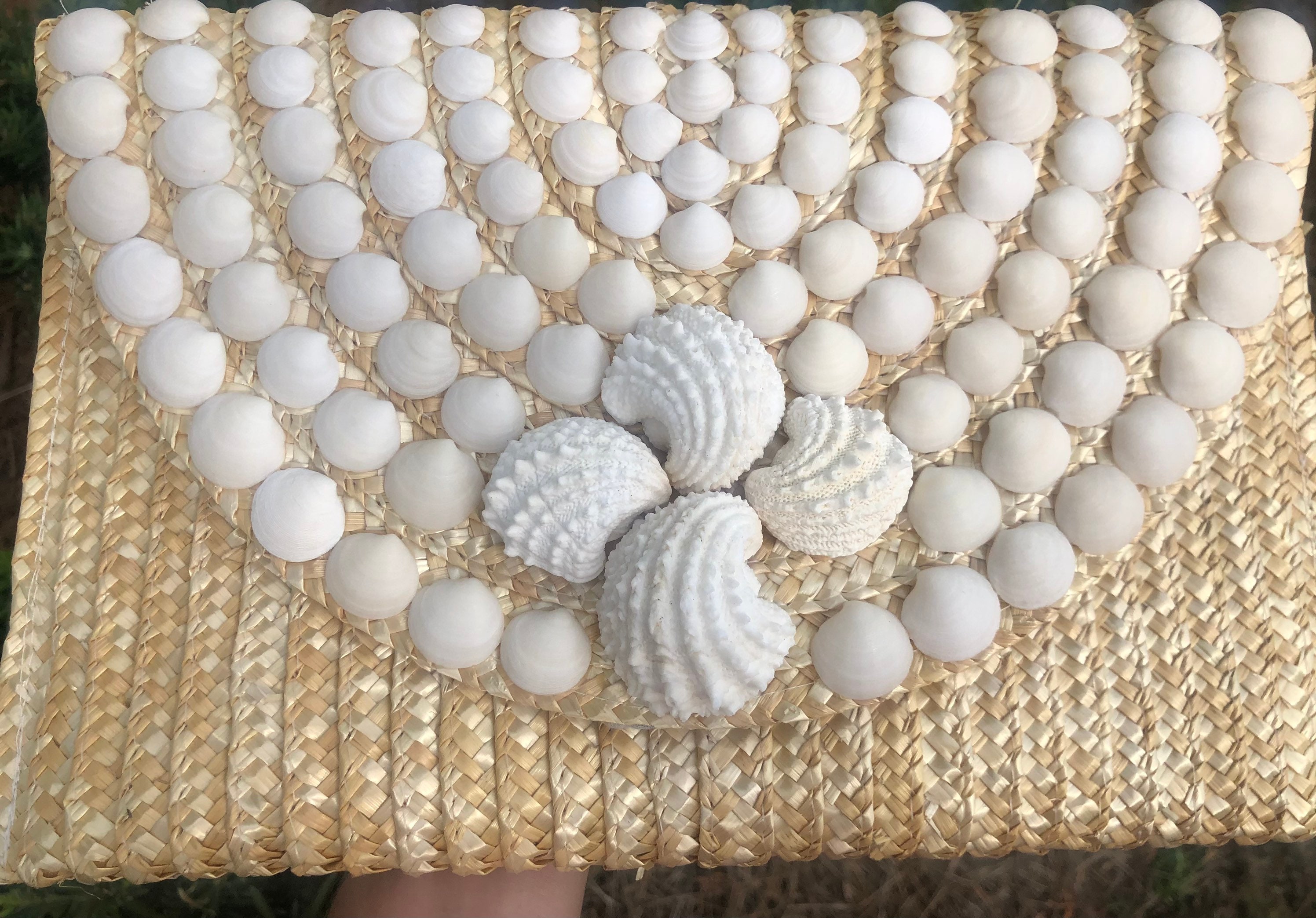 Seashell Clutch - Etsy