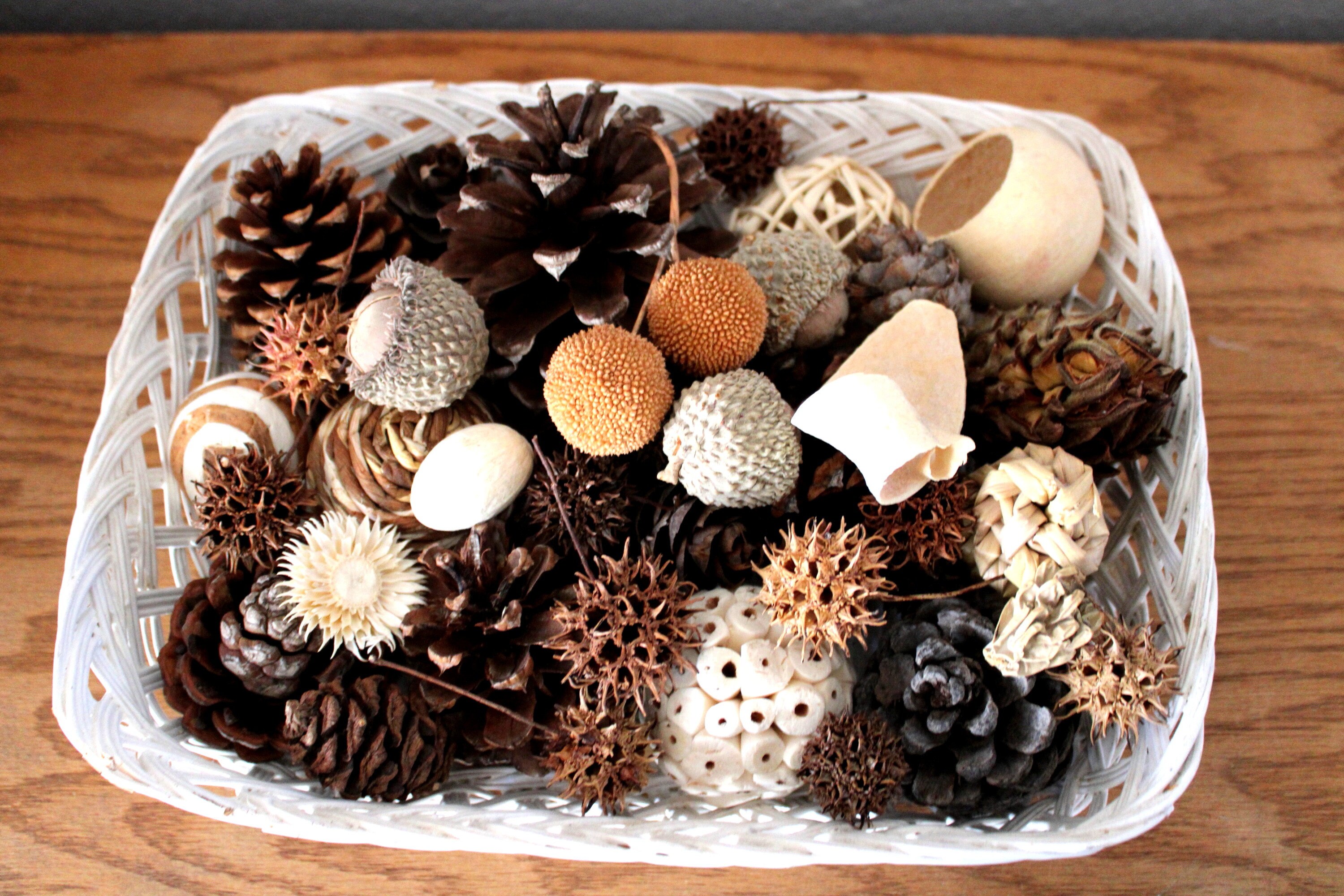 NATURE Basket-white Wicker Basket With Natural Items Assortment-altar ...