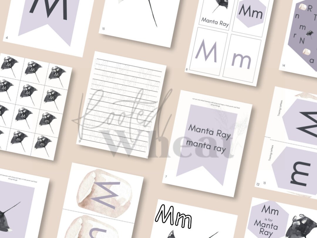 M LETTER MORNING BASKET M is for Manta Ray Alphabet Learning Preschool ...