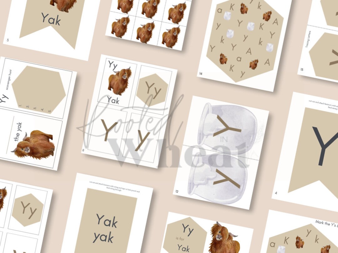 Y LETTER MORNING BASKET Y is for Yak Alphabet Learning Preschool ...