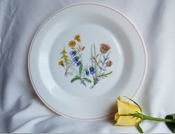 ARC 'ARCOPAL' France Dinner Plate With Wildflower | Etsy