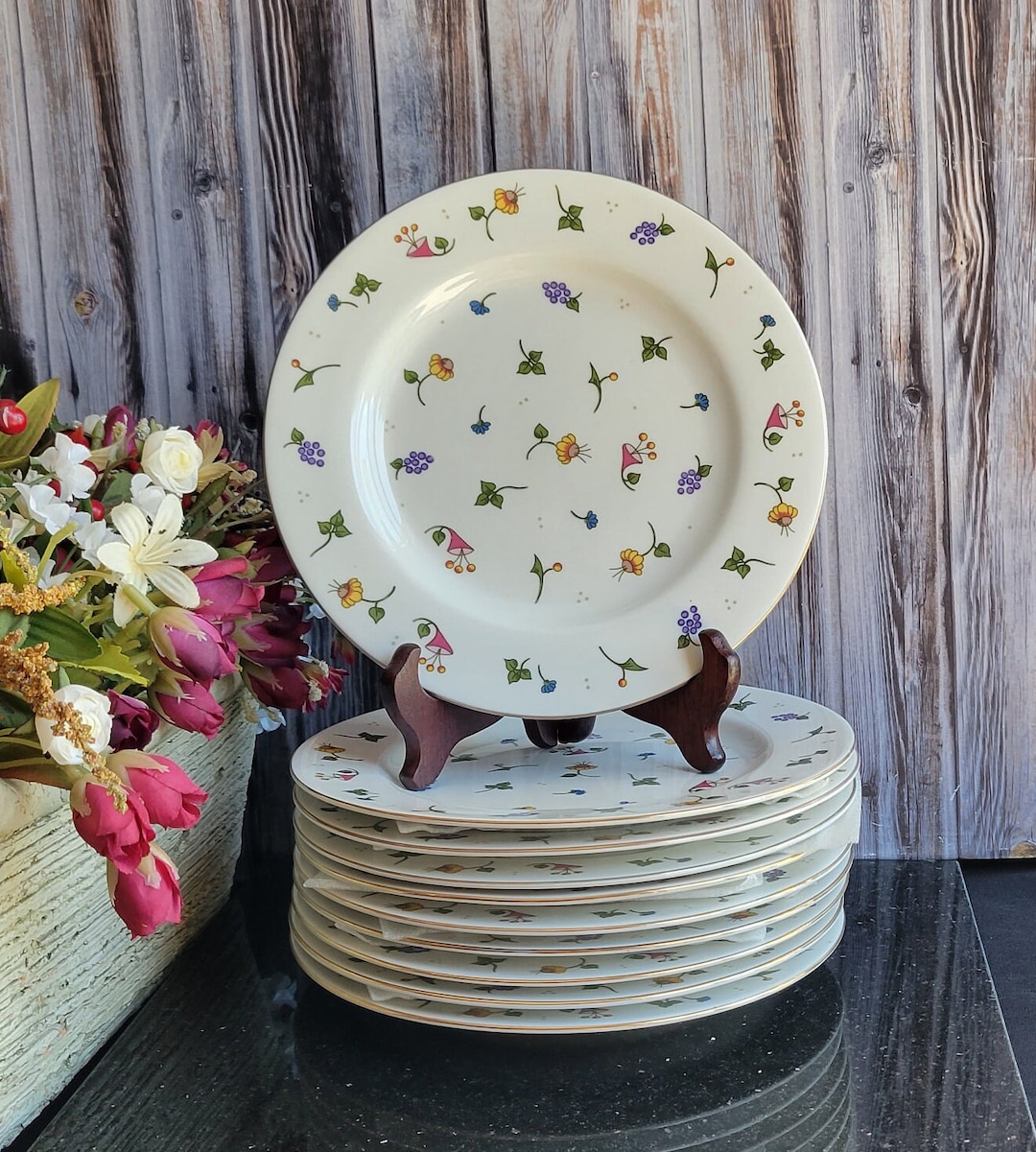Vintage Farberware Fine China Dessert Plate - Set of 5 - Etsy