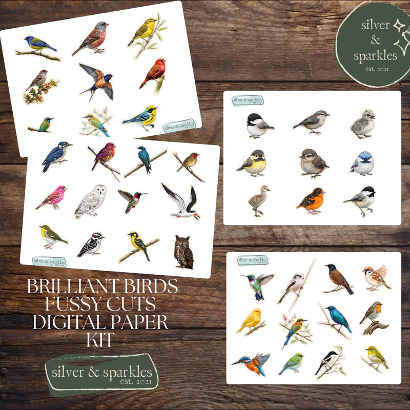 Small Birds on a Clip - Etsy