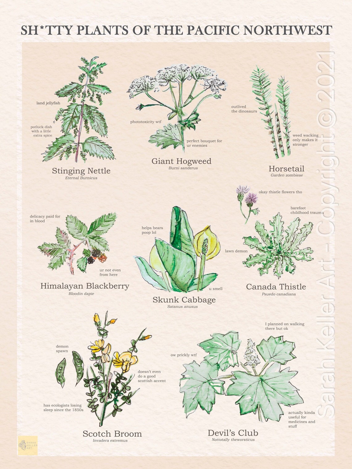 Shtty Plants of the Pacific Northwest Poster Botanical - Etsy