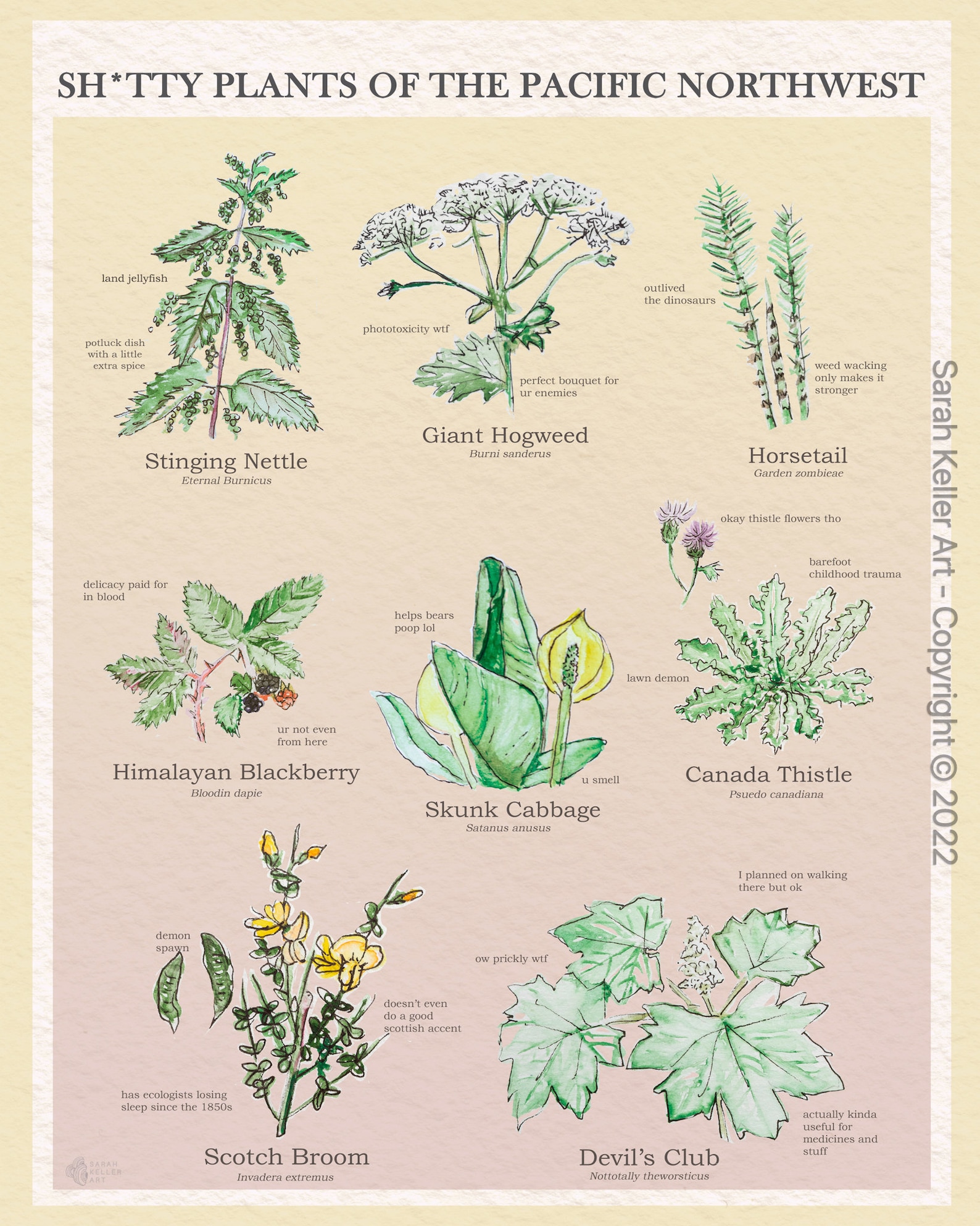 Shtty Plants of the Pacific Northwest Poster Botanical - Etsy