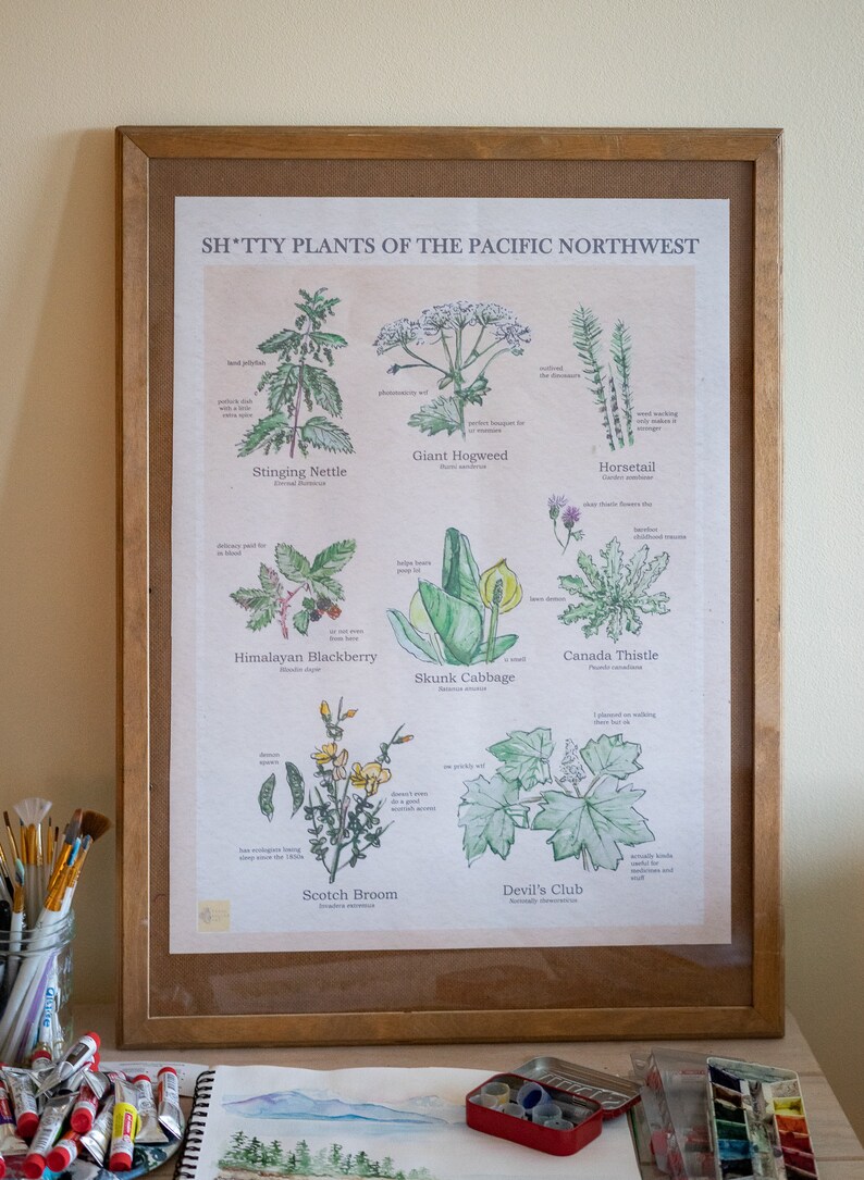 Shtty Plants of the Pacific Northwest Poster Botanical - Etsy