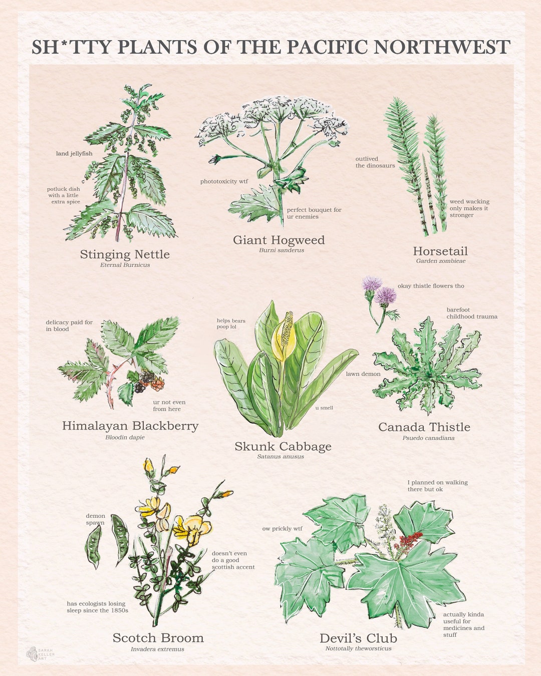 Sh*tty Plants of the Pacific Northwest Poster/ Botanical Illustrations ...