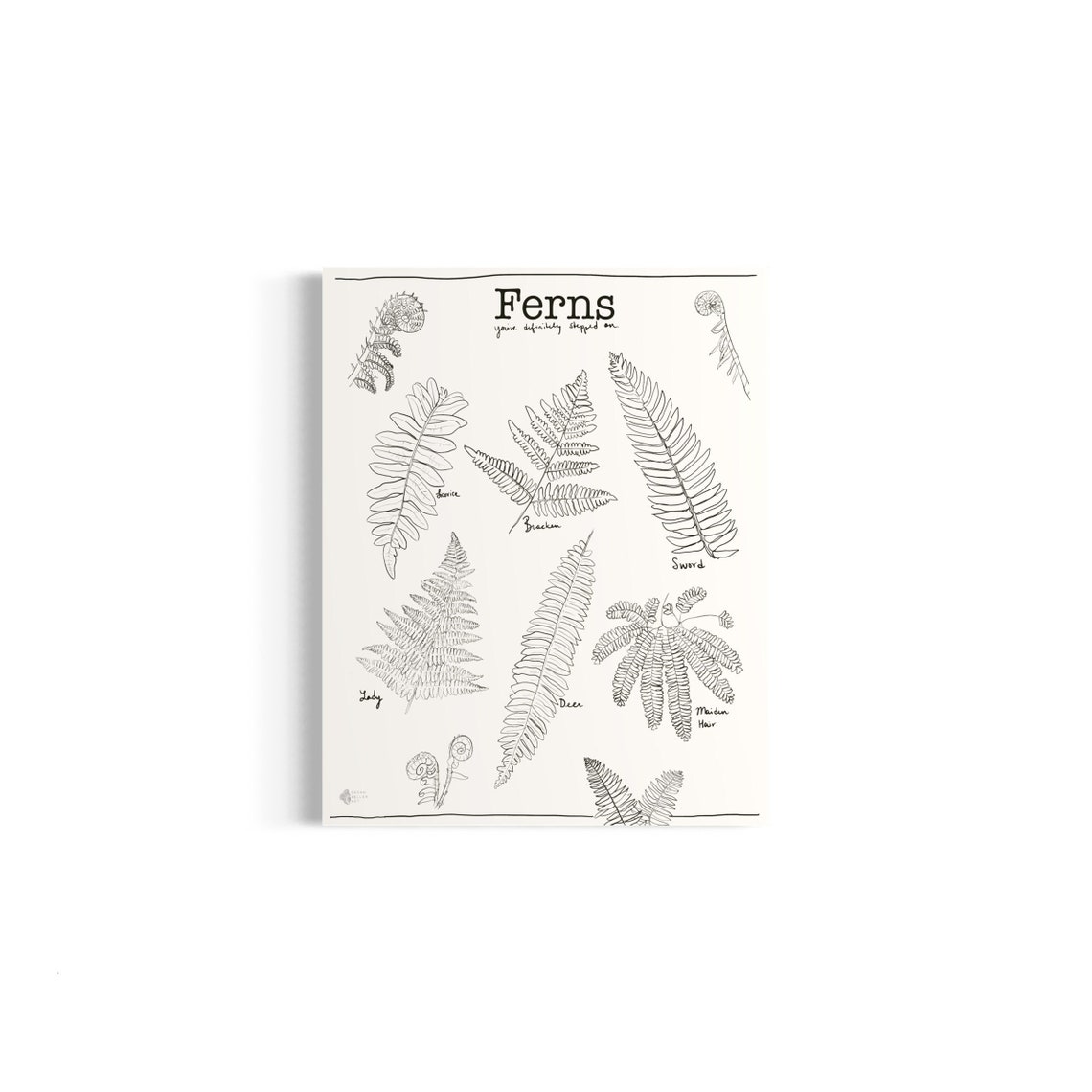 Ferns Colouring Sheet/ PNW Art/woodland Art/ Coloring Sheets - Etsy