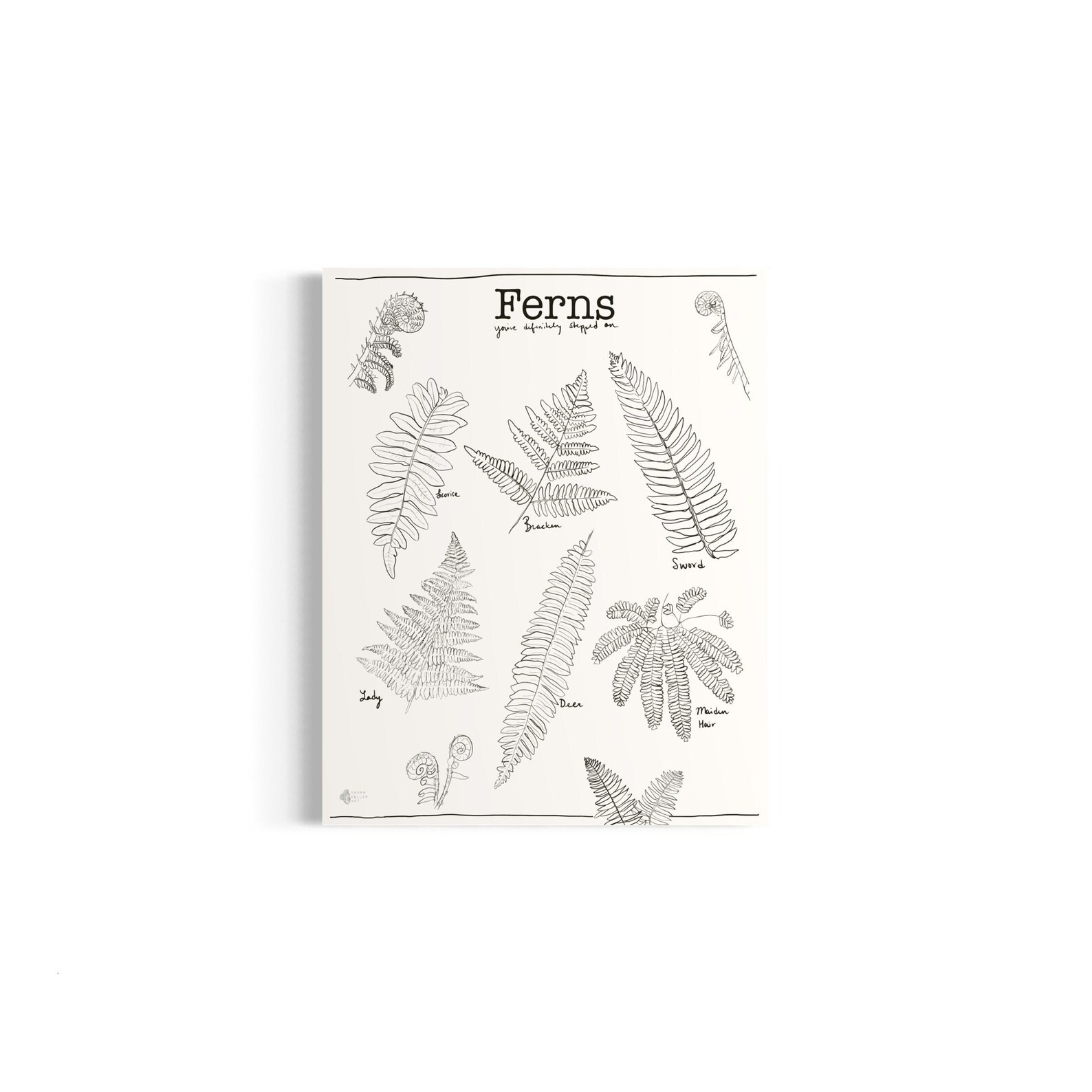 Ferns Colouring Sheet/ PNW Art/woodland Art/ Coloring Sheets - Etsy