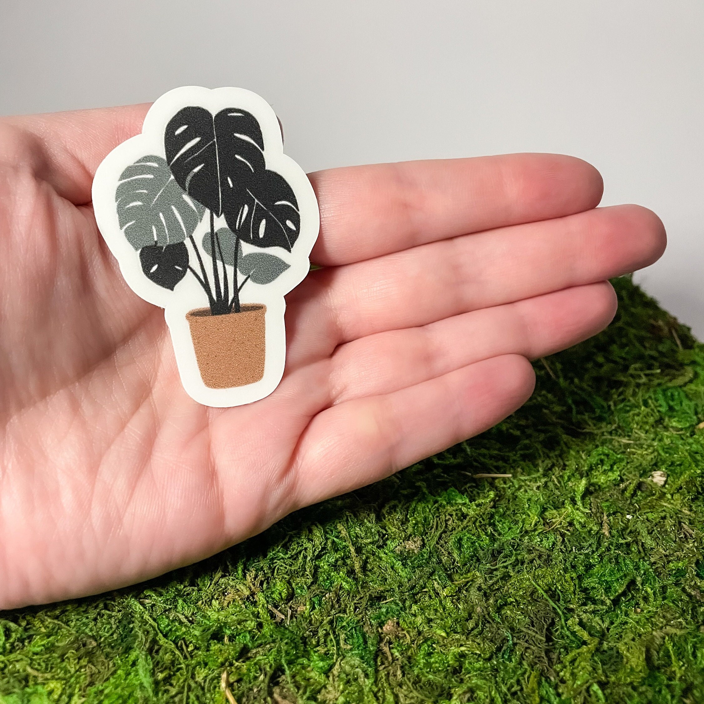 Monstera Plant Sticker - Etsy