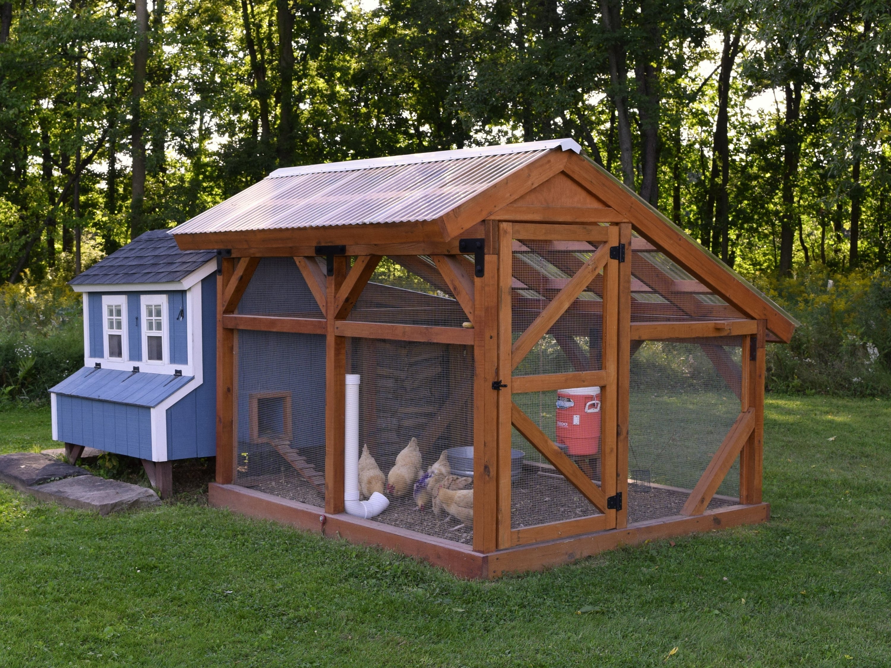 8 X 10 Chicken Run Plans - Etsy