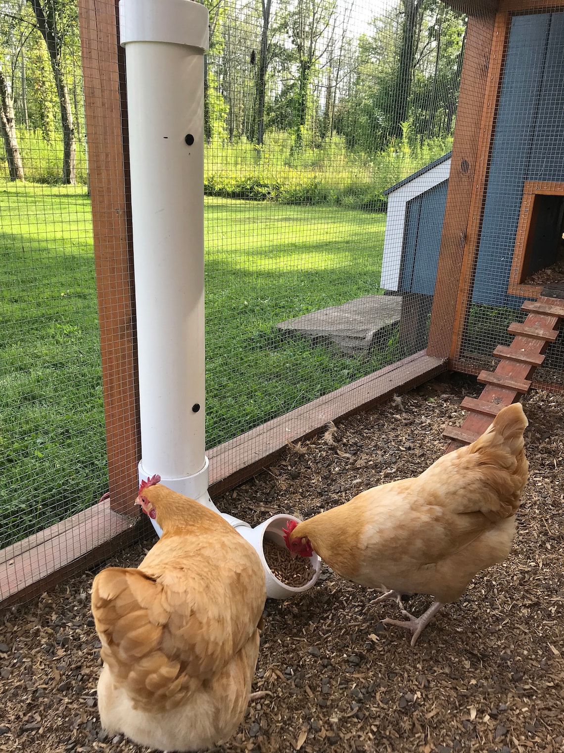 PVC Pipe Chicken Feeder Plans - Etsy