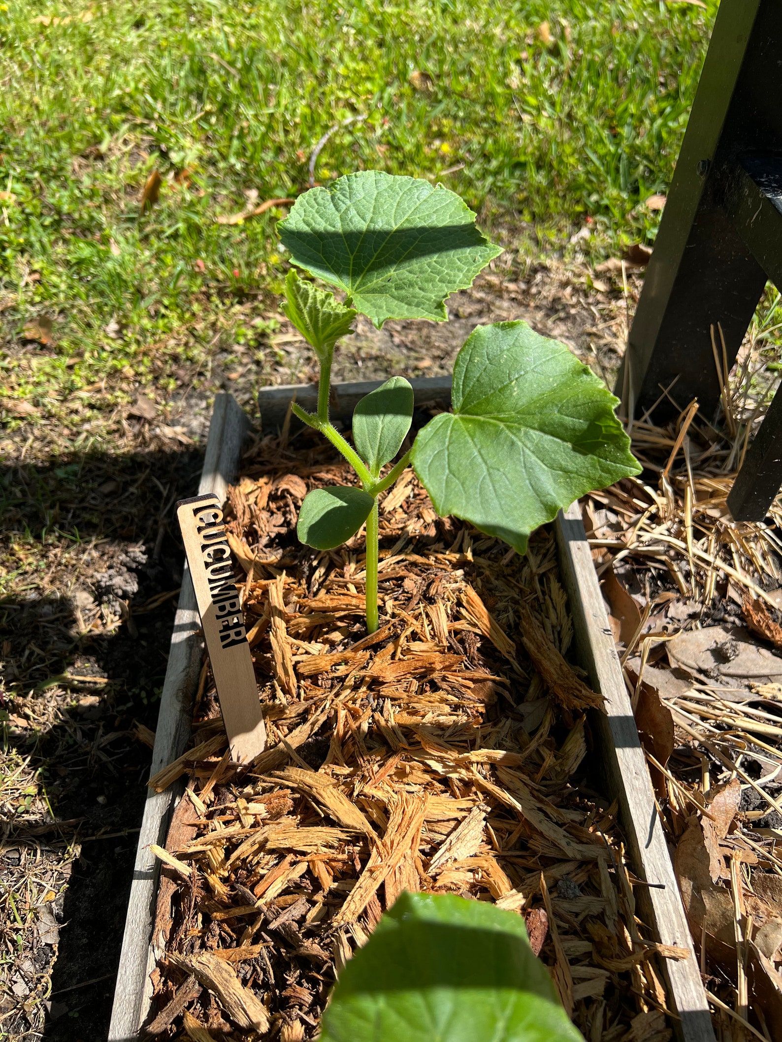 550 Plant Labels SVG Bundle File Garden Markers SVG - Etsy