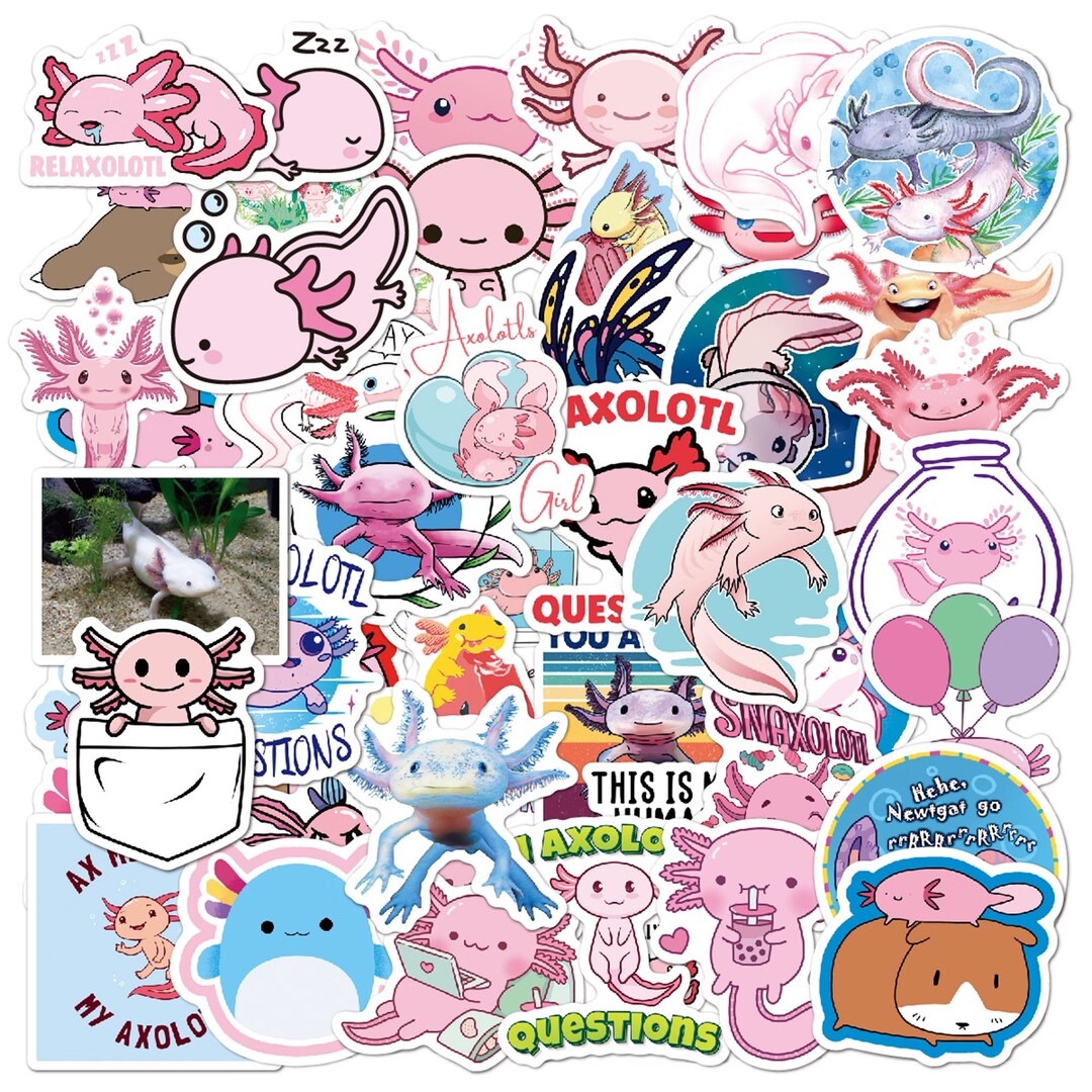 Axolotl Stickers Pack Axolotl Stickers Animal Stickers - Etsy UK