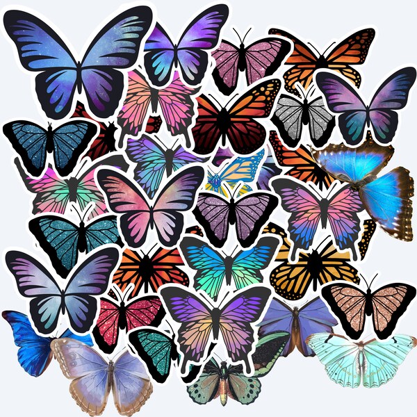 Colorful Butterfly - Etsy