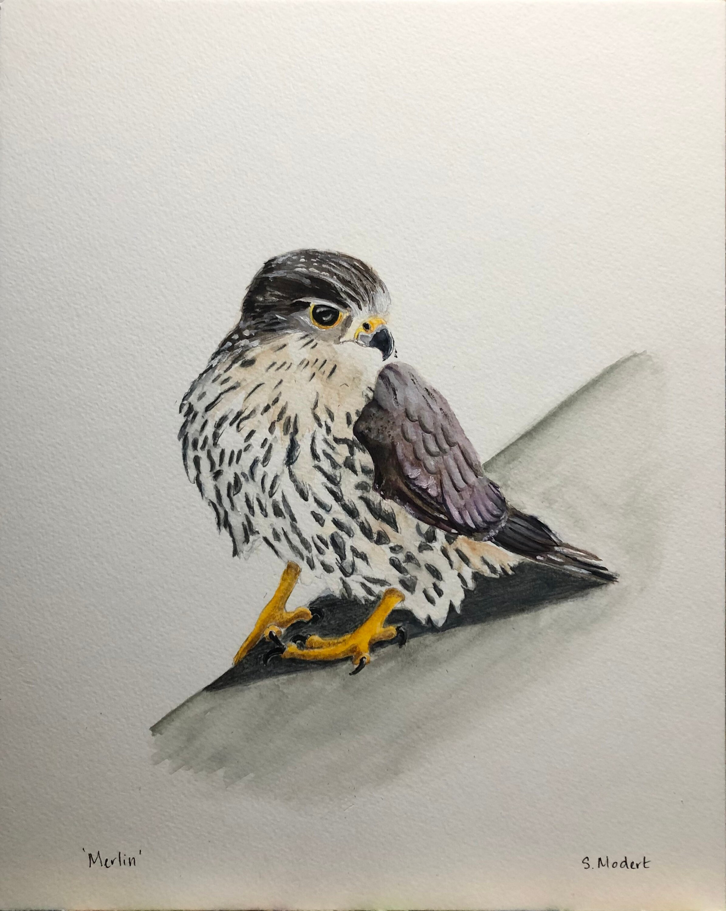 Original Art, 8x10” Watercolor and Ink on Watercolor Illustration Board ...