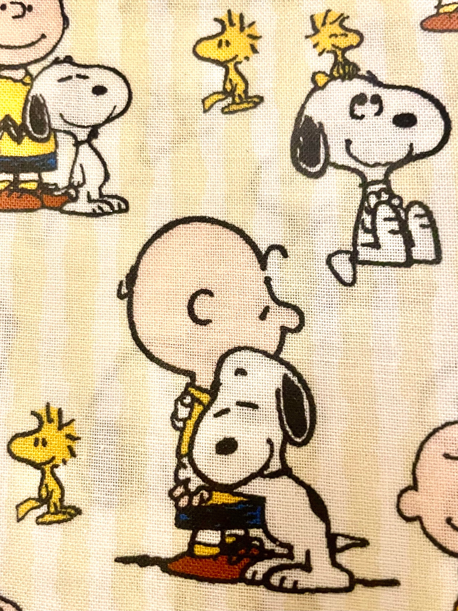Sweetest Snoopy and Charlie Brown Blanket Ever - Etsy