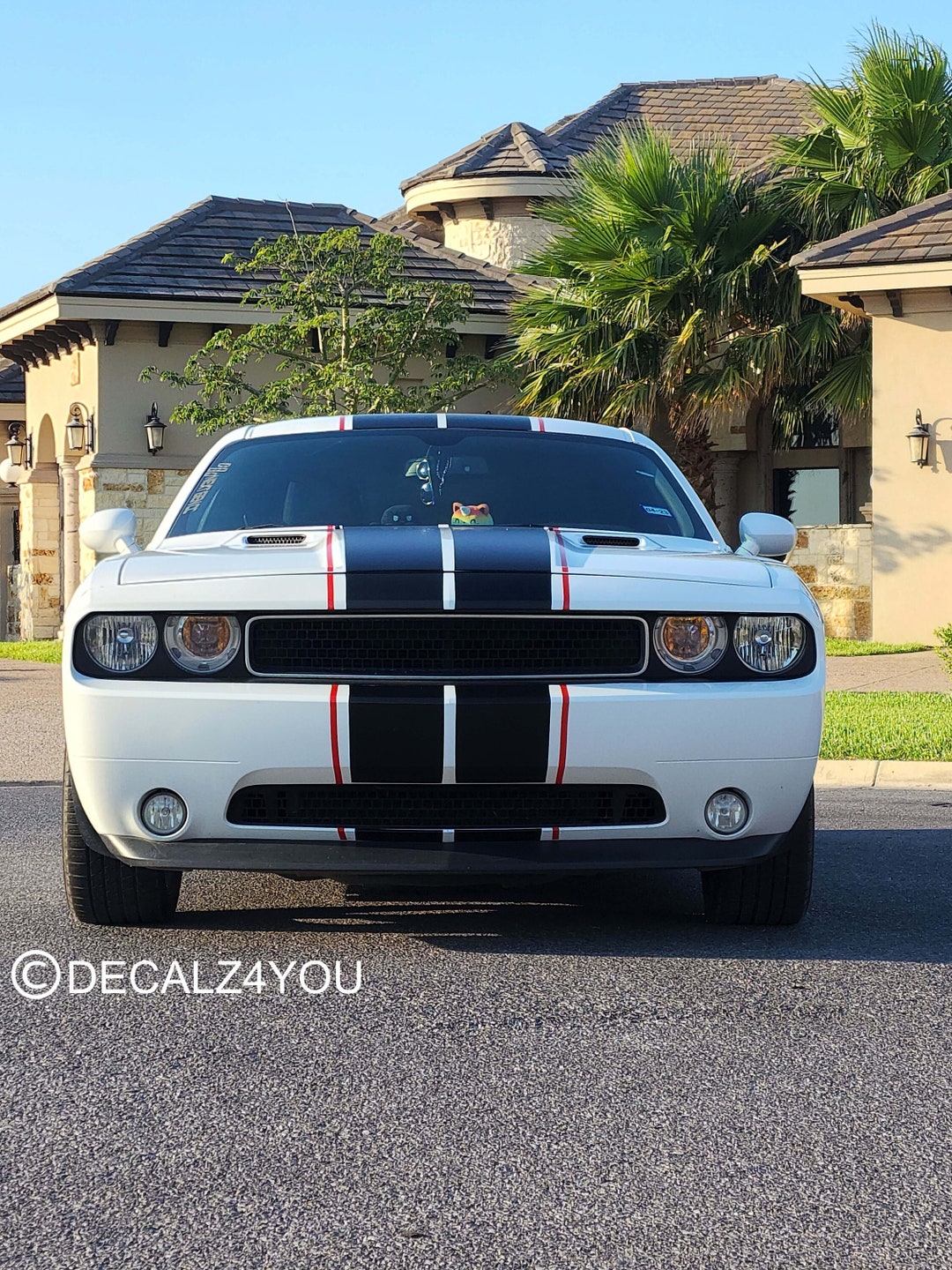 Challenger 2008-2014 Racing Stripes Dual 10" & PIN Stripe (rally Stripe ...