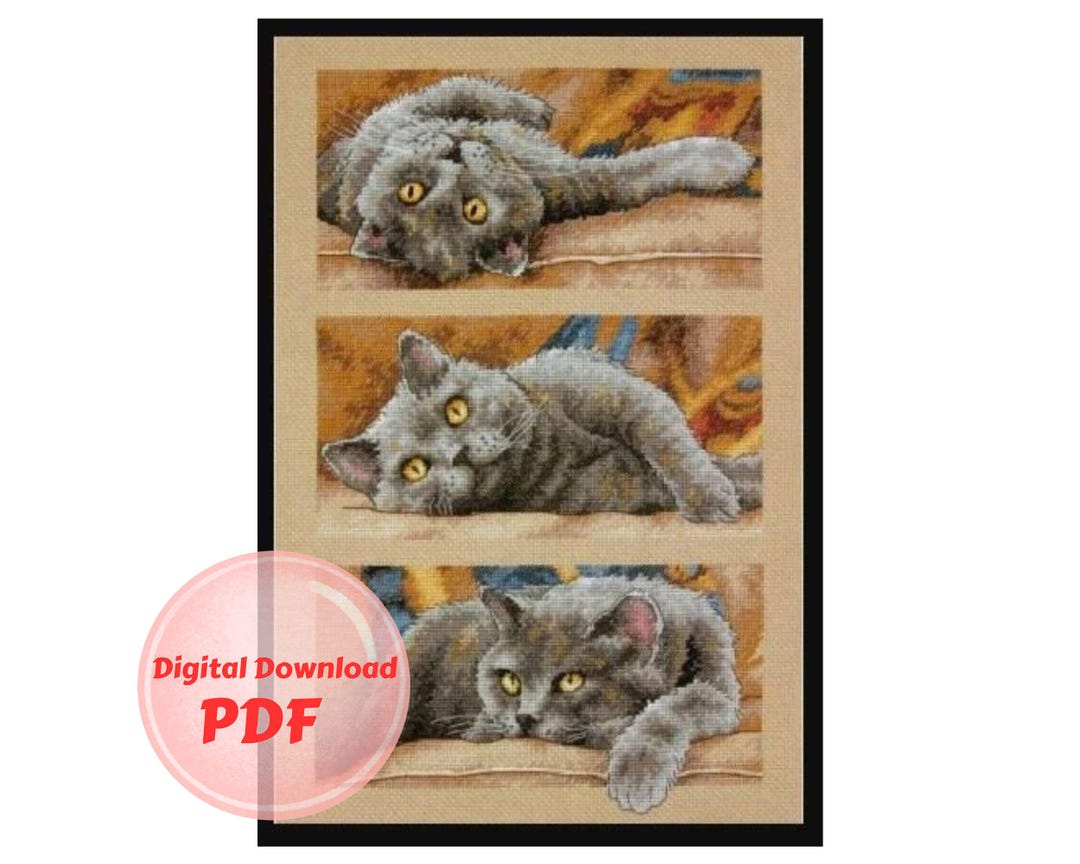 Gray Cat Cross Stitch Pattern: Counted Embroidery (PDF Pattern) - Etsy
