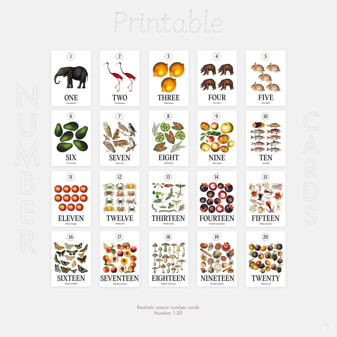 Realistic Nature Number Flash Cards Montessori Printable Realistic ...