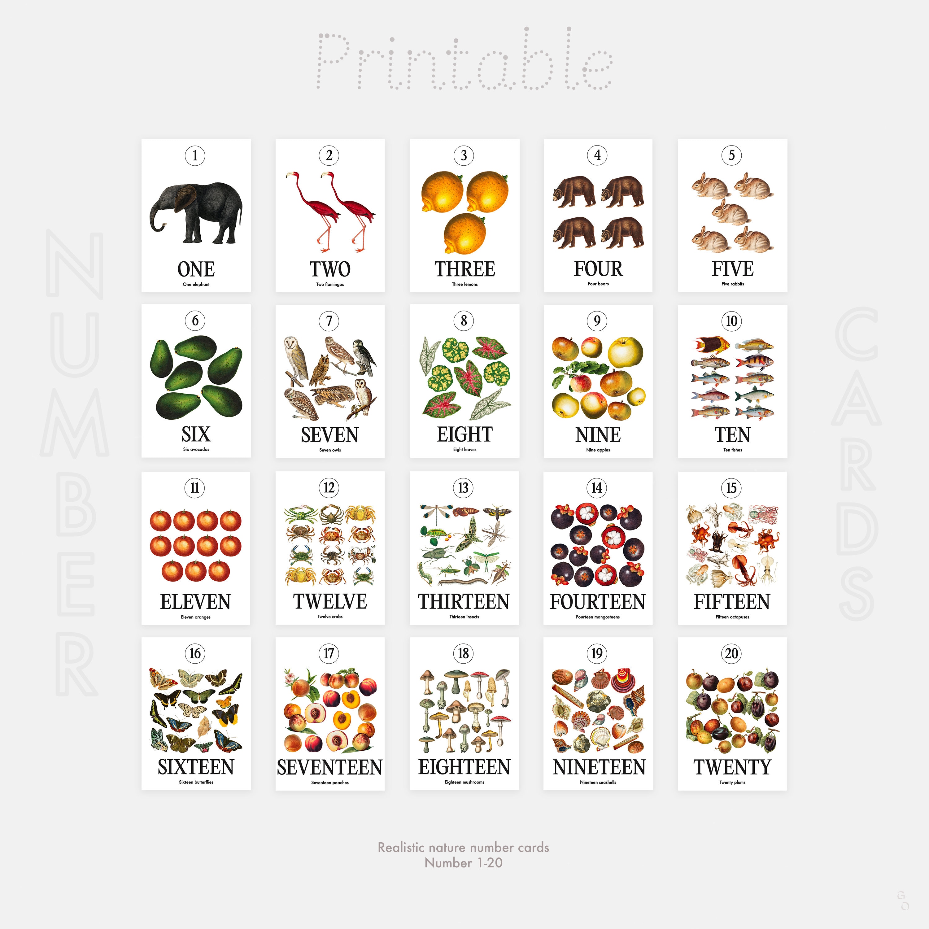 Realistic Nature Number Flash Cards Montessori Printable Realistic ...