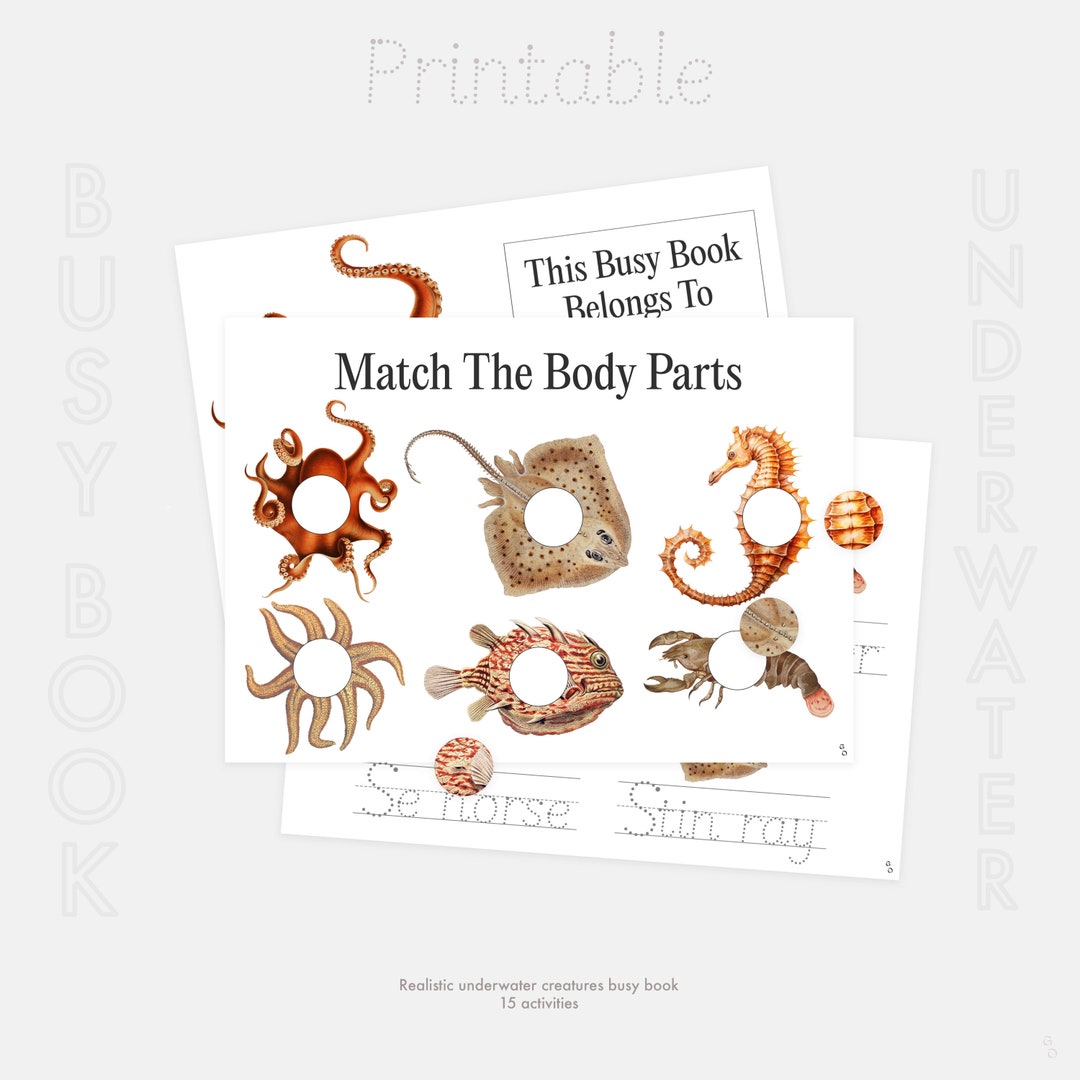 Underwater Creatures Busy Book | Toddler Busy Book | Tracing, Maths ...