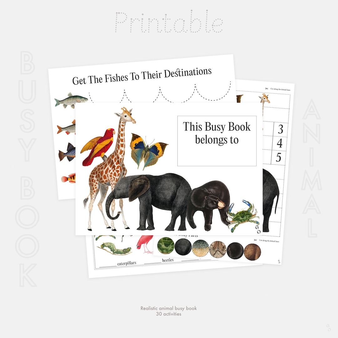 Animal Busy Book: 30 Learning Activities for Toddlers (PDF) - Etsy