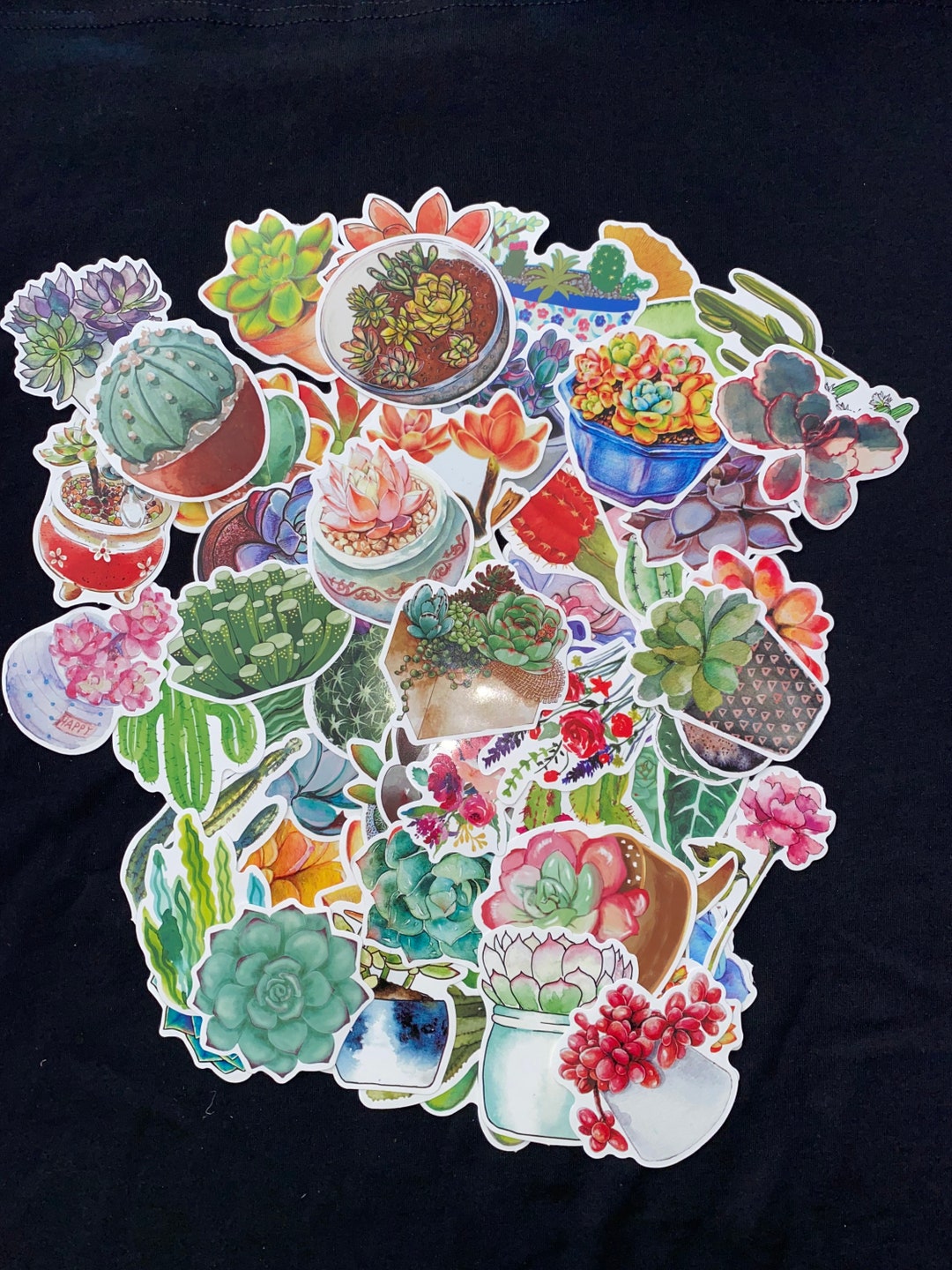 Succulent cactus stickers 35 pcs/colorful plants - Etsy.de