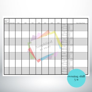 Patient Medication and Task Organization Schedule for Nurses - Etsy