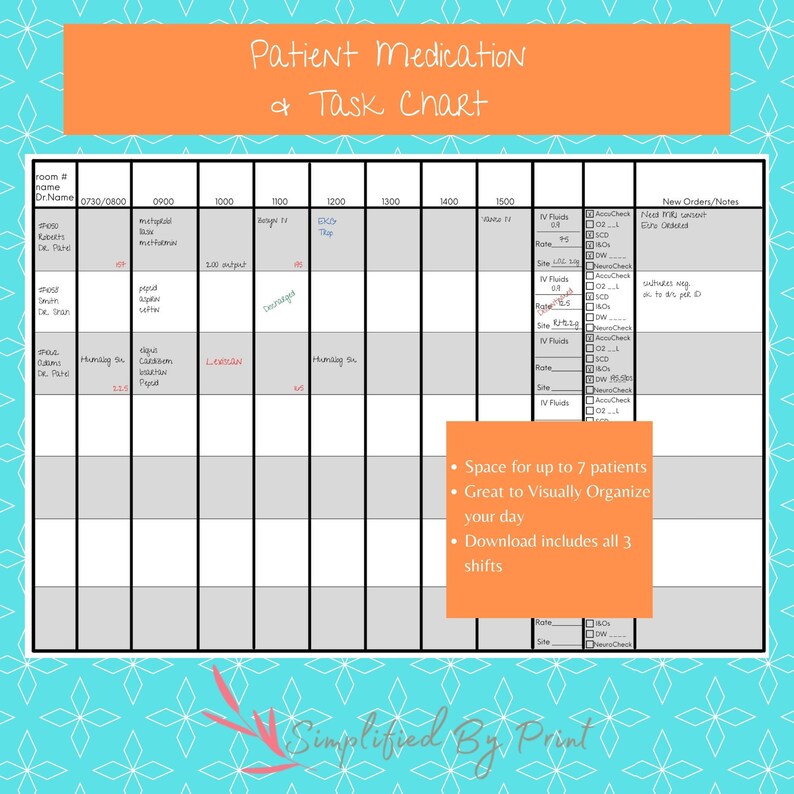 Patient Medication and Task Organization Schedule for Nurses - Etsy