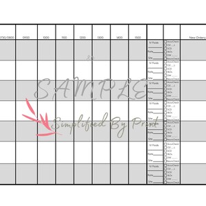 Patient Medication and Task Organization Schedule for Nurses - Etsy