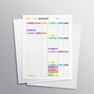 Monthly Budget Overview Template Printable, Budget Binder, Budget ...