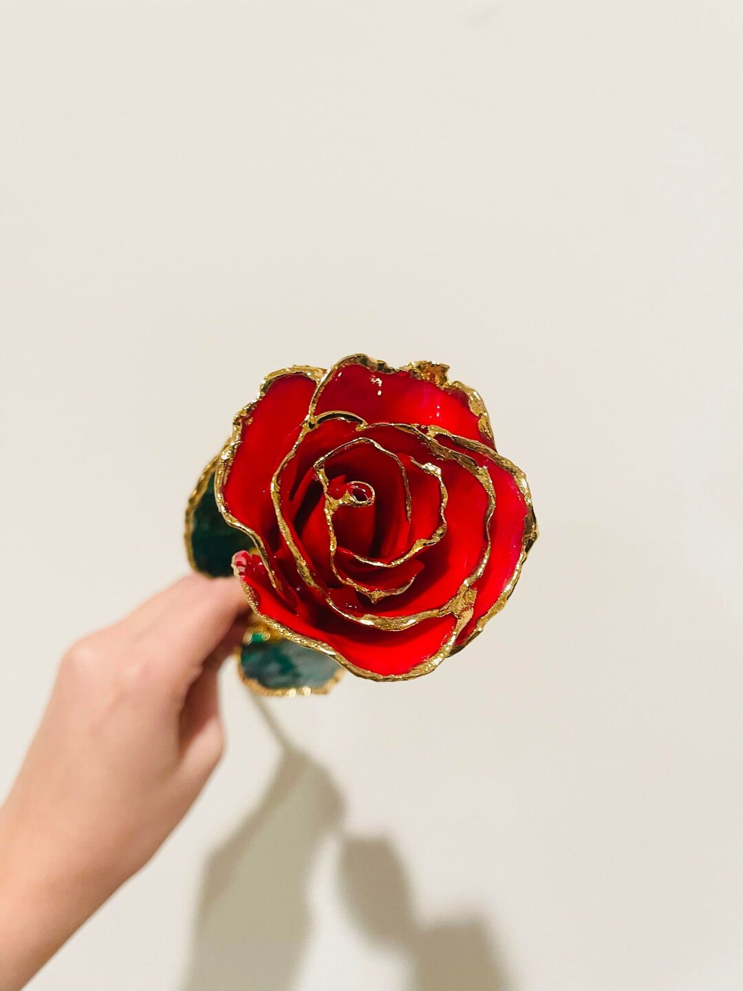 24K Lacquered Colored Rose With Gold Trim for Her Gift - Etsy